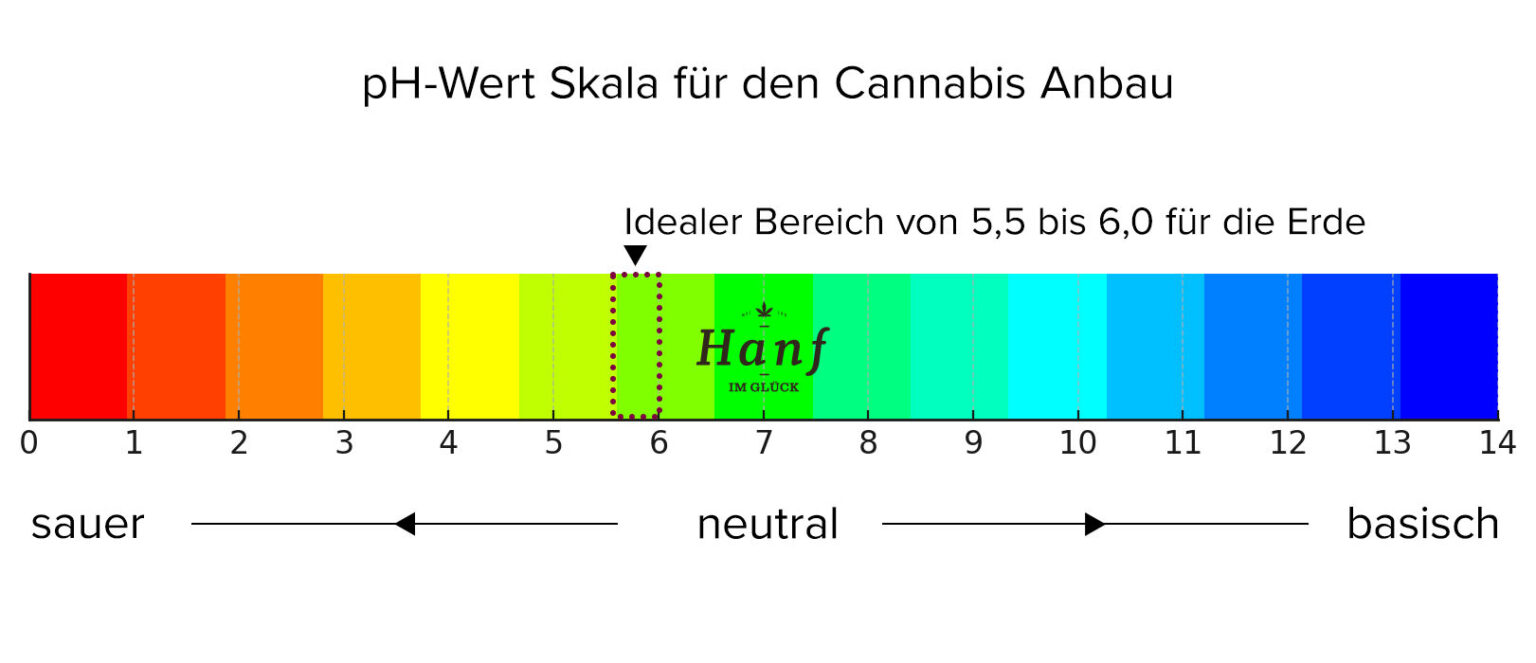 Cannabis PH-Wert & EC-Wert: Bedeutung und Anleitung - Hanf im Glück